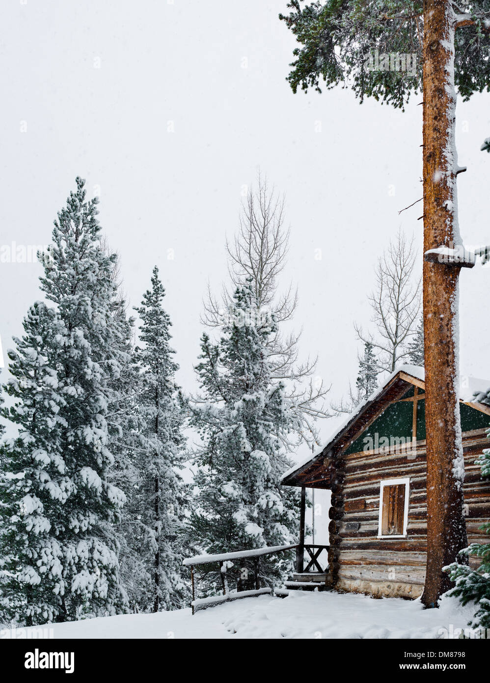 Log cabin forest hi-res stock photography and images - Alamy