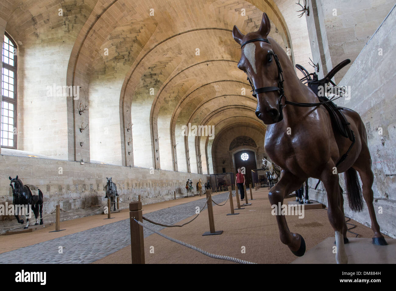Equestrian discipline hi-res stock photography and images - Alamy