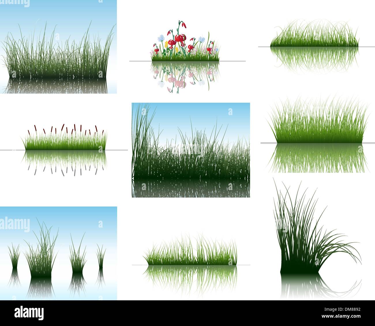 grass on water Stock Vector Image & Art - Alamy