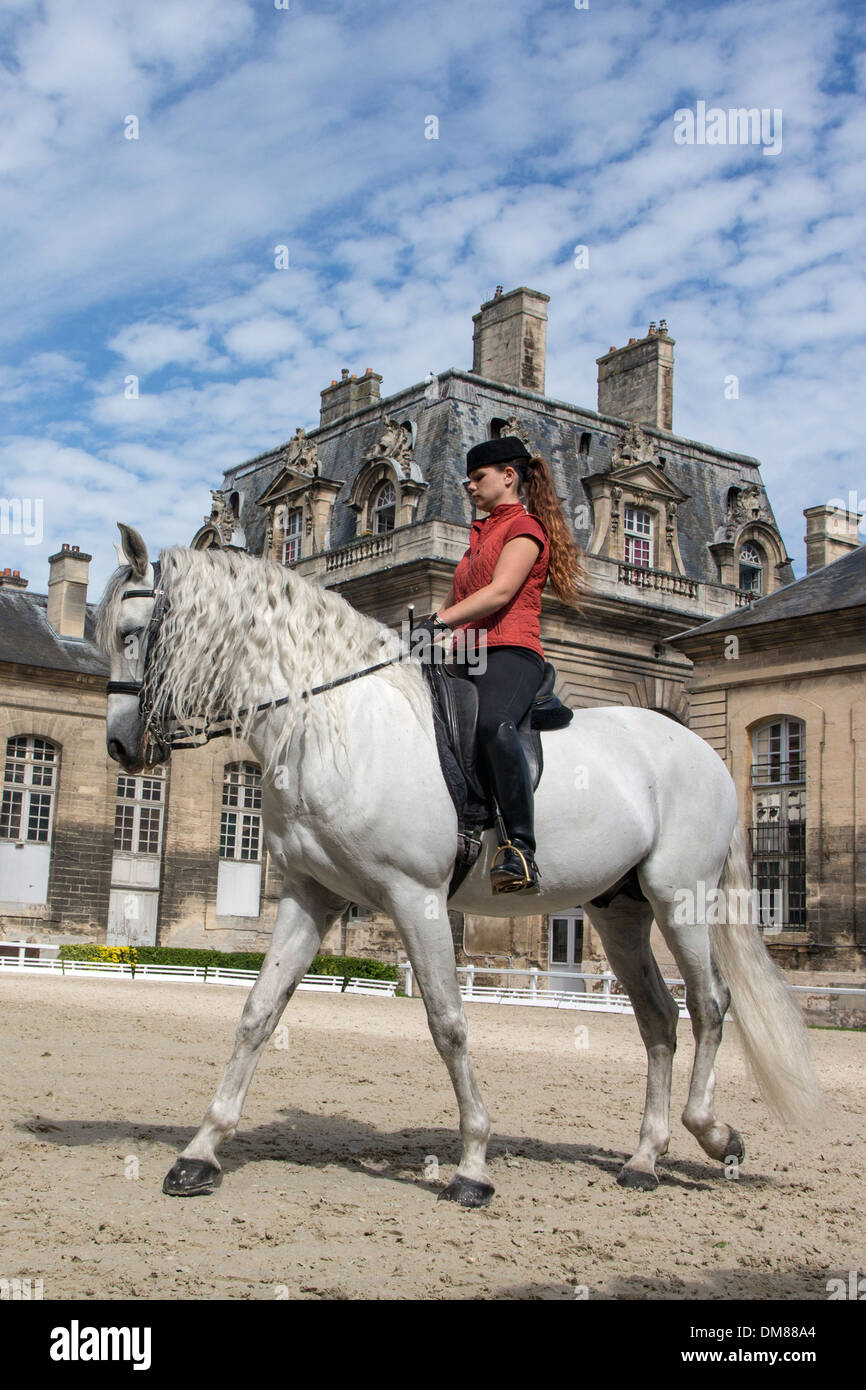 Horse farming in france hi-res stock photography and images - Alamy