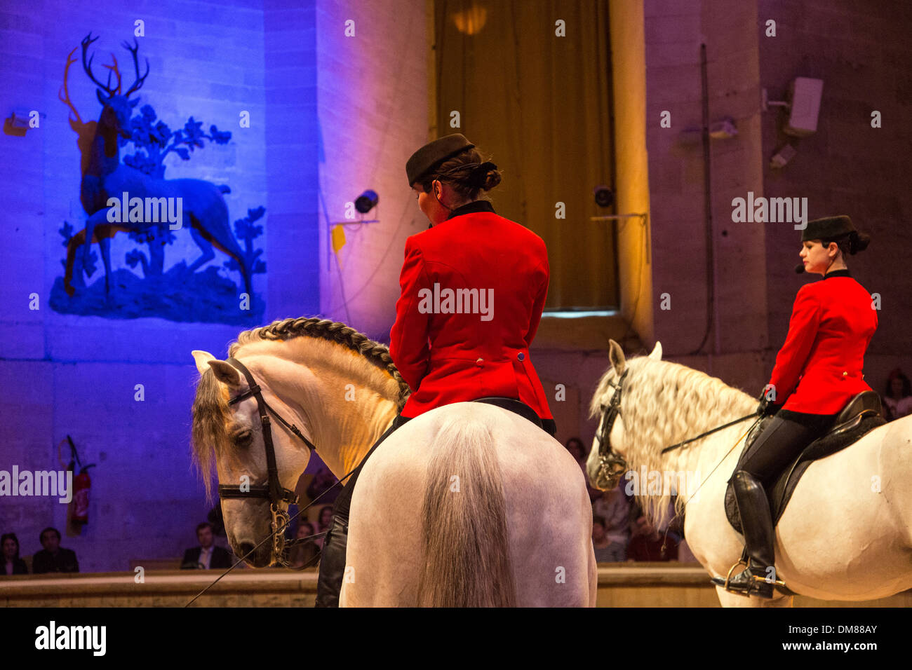 EQUESTRIAN SHOW BELOW THE DOME OF THE BIG STABLES, THE NEW HORSE MUSEUM ...