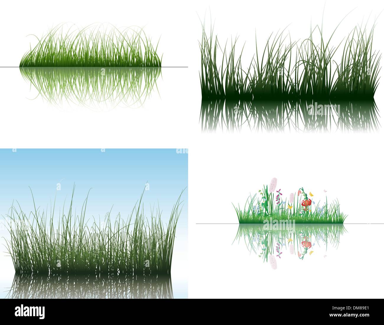 White bog flower Stock Vector Images - Alamy