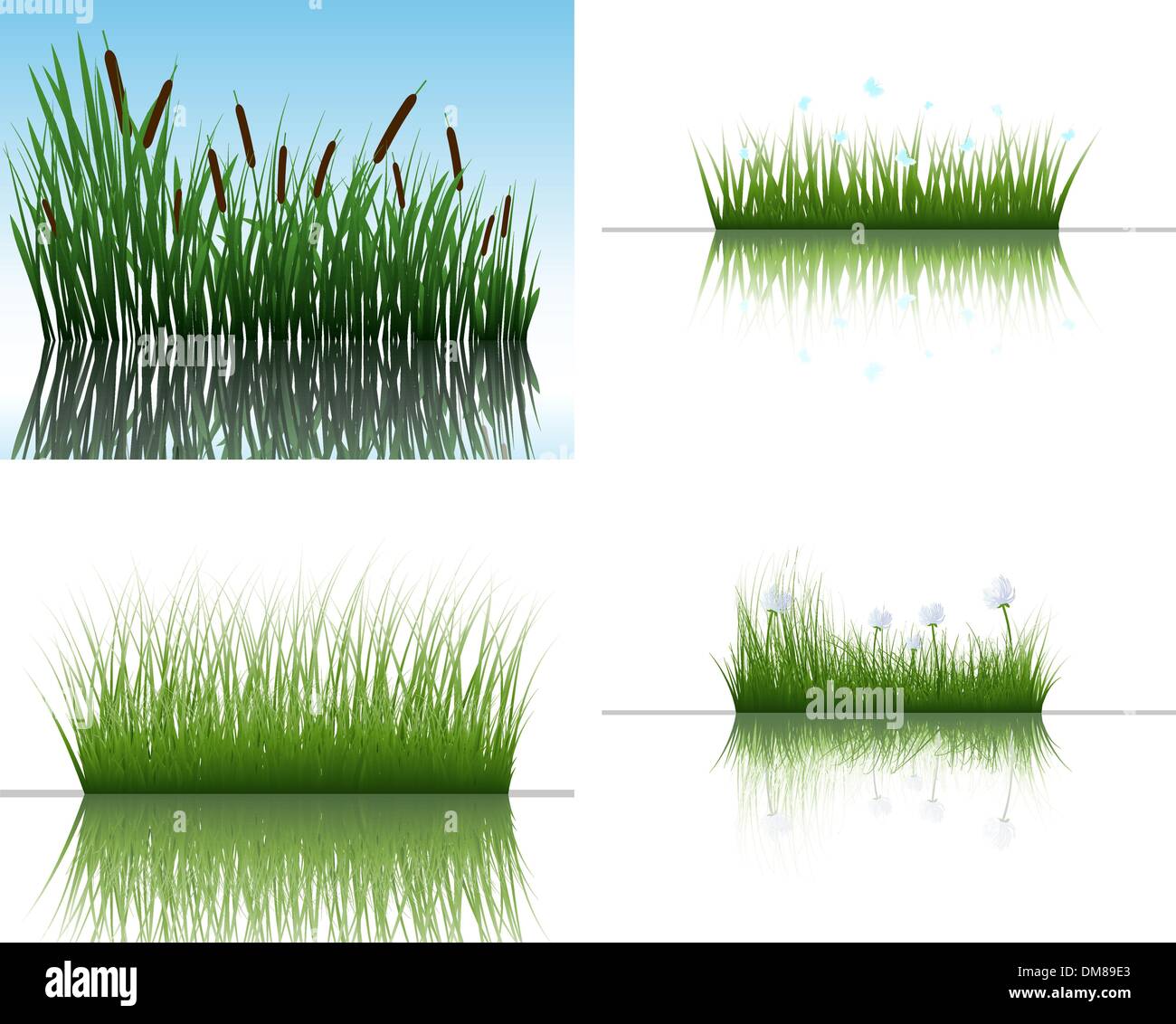 grass on water Stock Vector Image & Art - Alamy