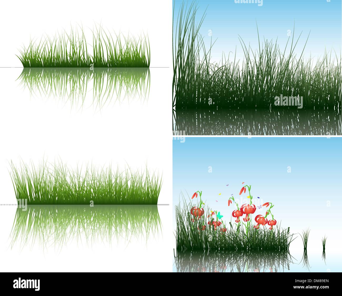 grass on water Stock Vector Image & Art - Alamy