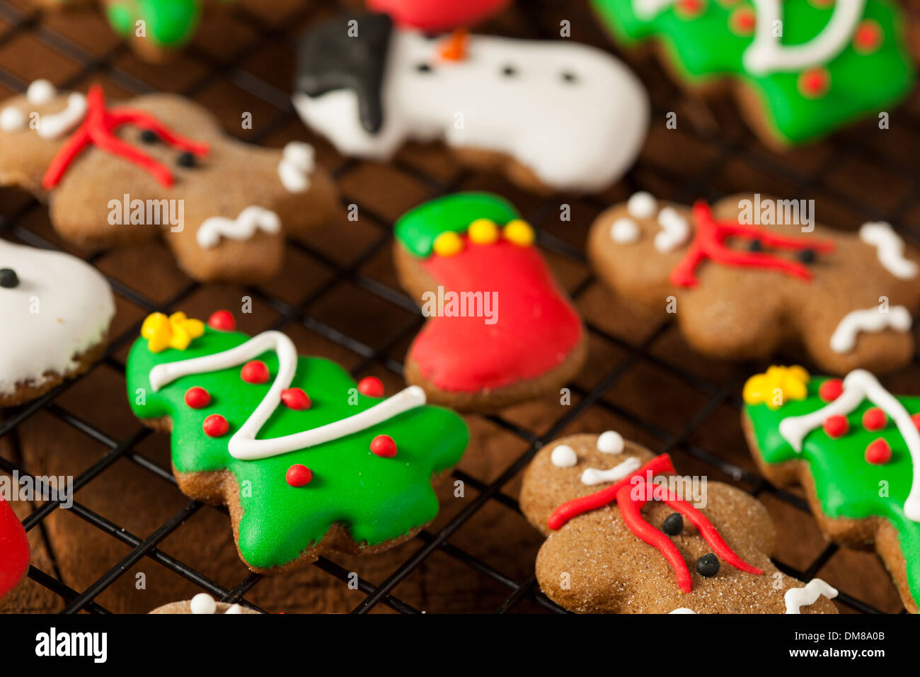 Traditional Iced Gingerbread Christmas Cookies with Trees and Snowmen ...