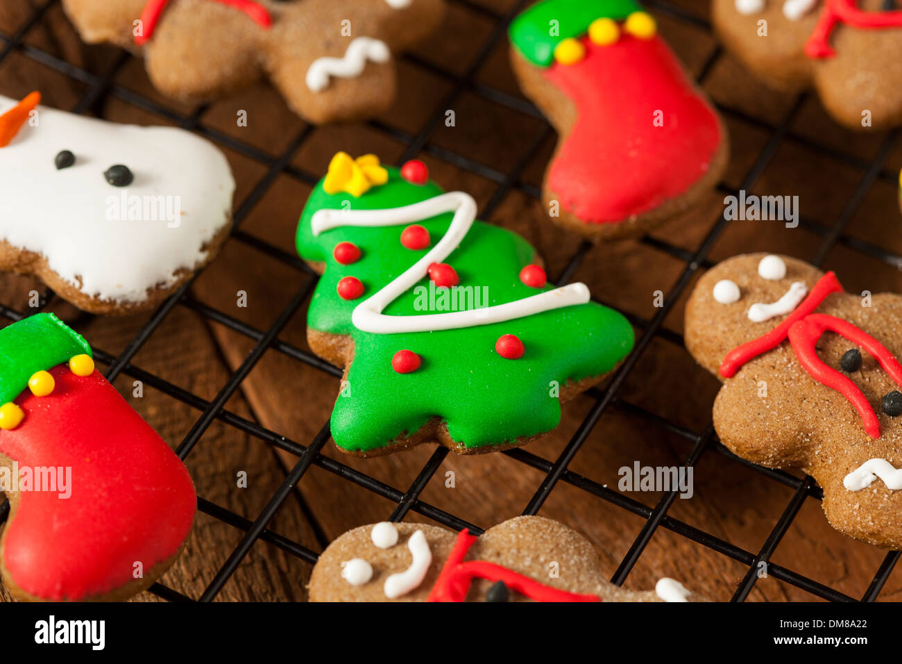 Traditional Iced Gingerbread Christmas Cookies with Trees and Snowmen ...