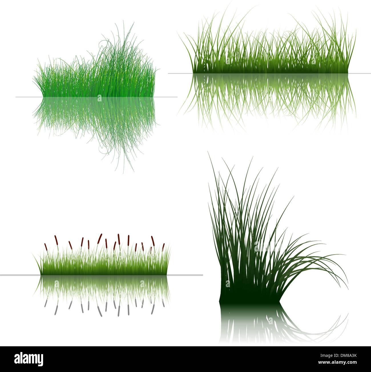 grass on water Stock Vector Image & Art - Alamy