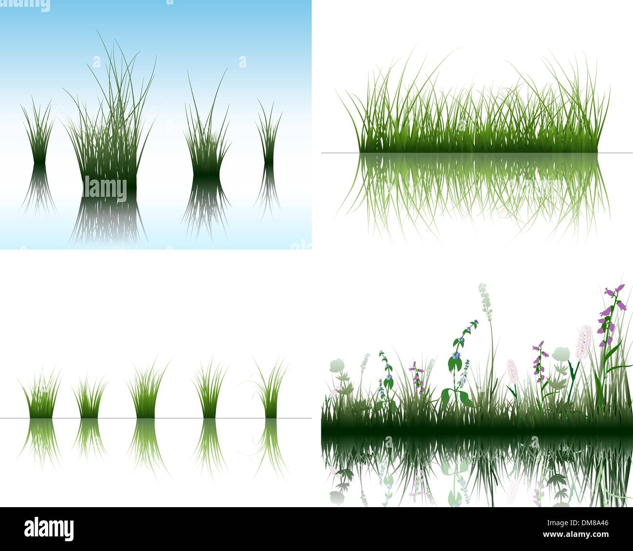 grass on water Stock Vector Image & Art - Alamy