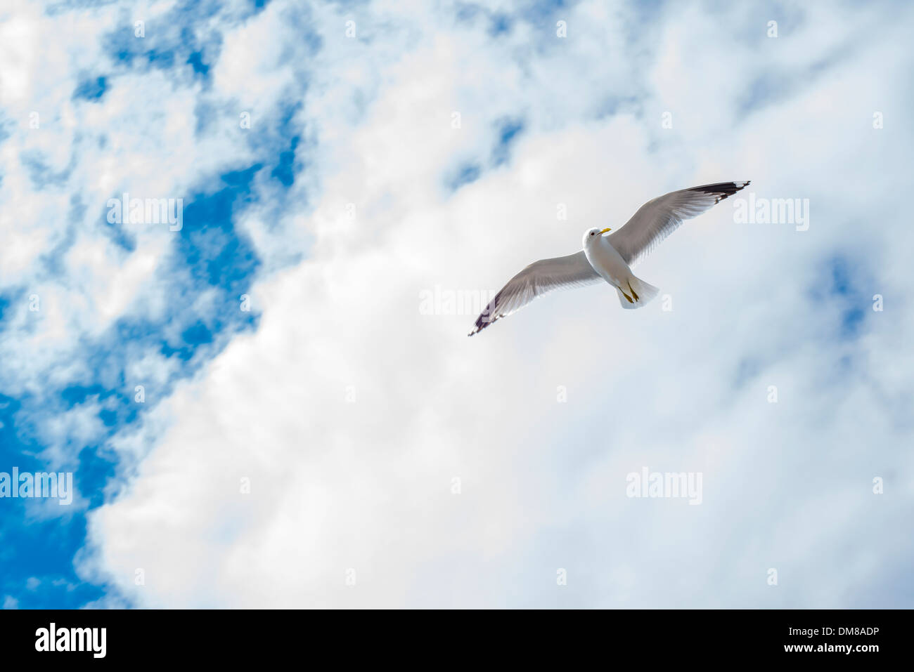 Clouds and sea fly hi-res stock photography and images - Alamy