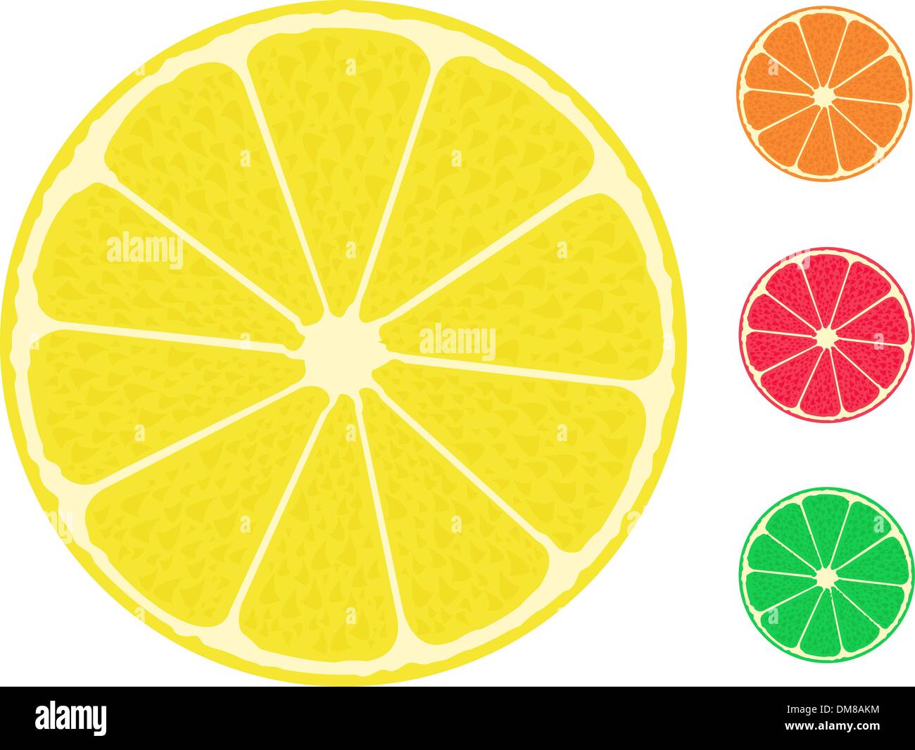 Fruit studio citrus Stock Vector Images - Alamy