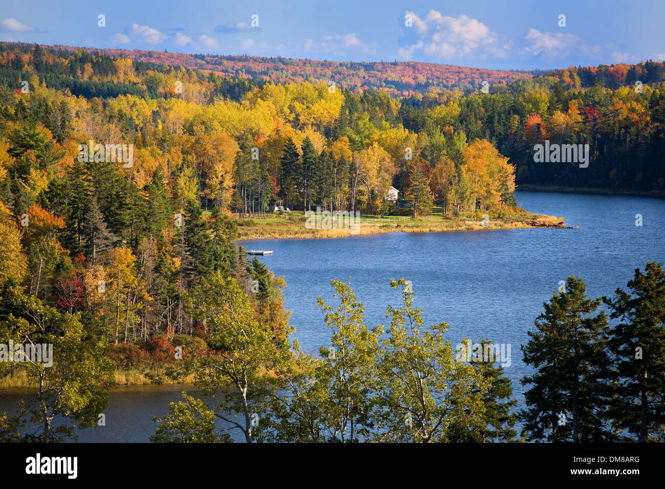 Fall foliage of the deciduous forests along the Trout River in rural ...