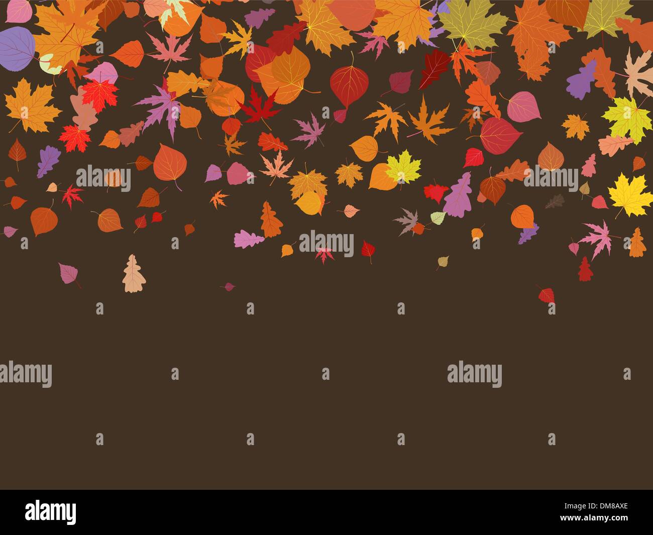 Yellow oak leaves falling Stock Vector Images - Alamy