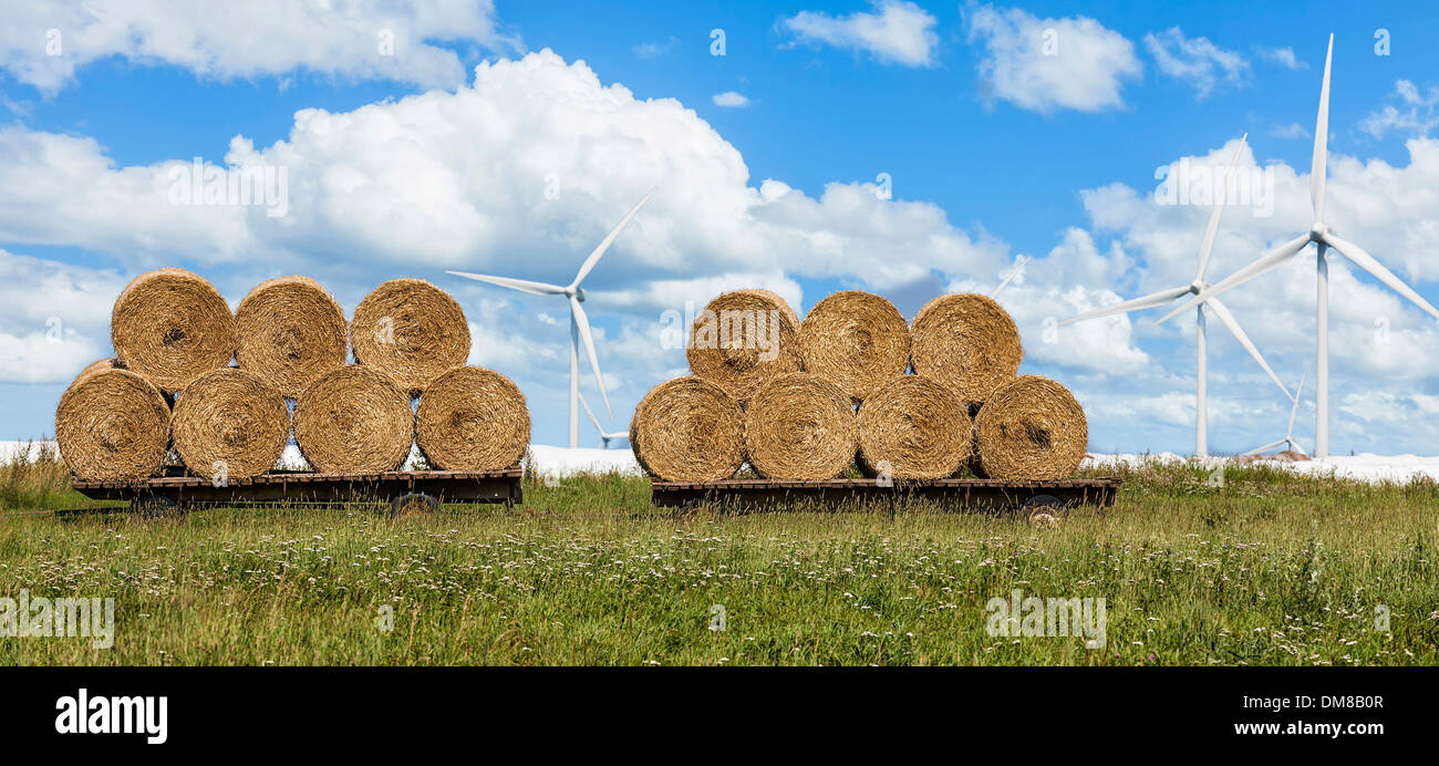 Hay bales and wind turbines in rural Prince Edward Island, Canada Stock ...
