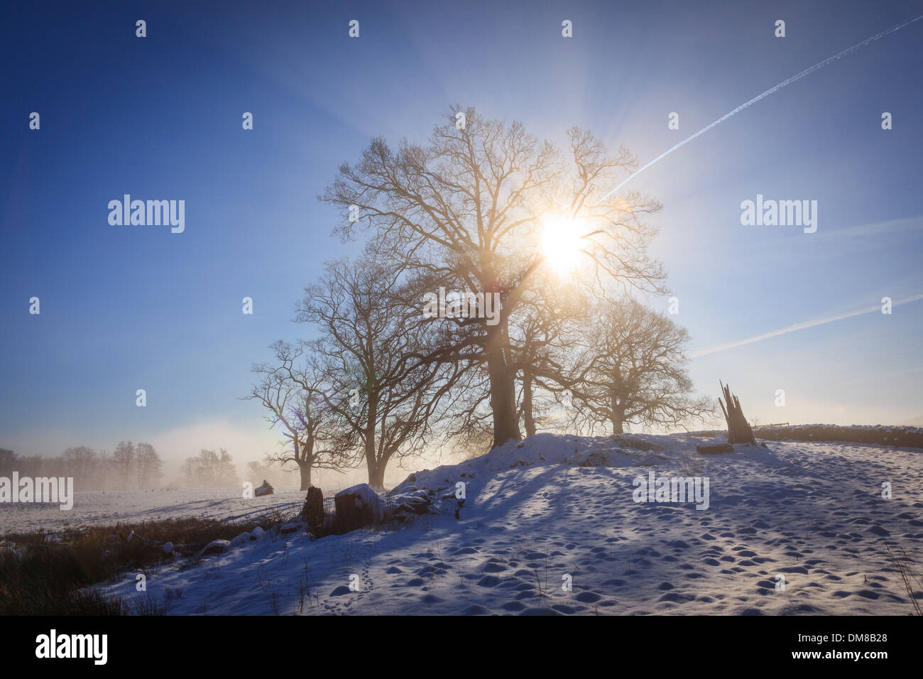 Sunrays in the Snow Stock Photo - Alamy