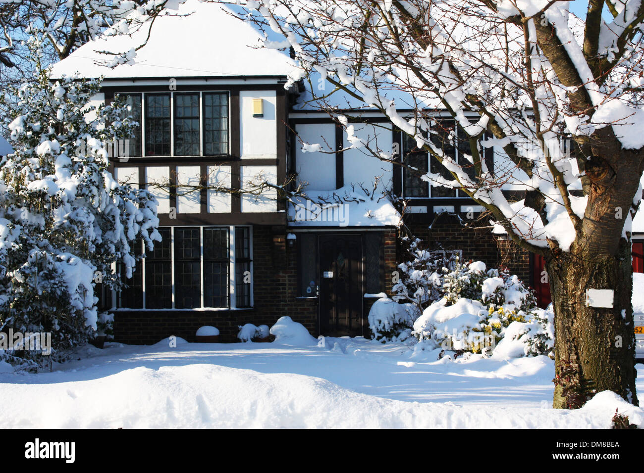 Snow covered house and trees in winter season Stock Photo - Alamy