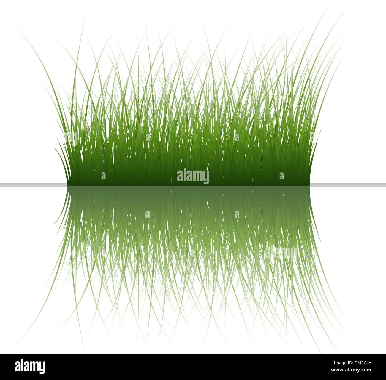 Bushes in water Stock Vector Images - Alamy