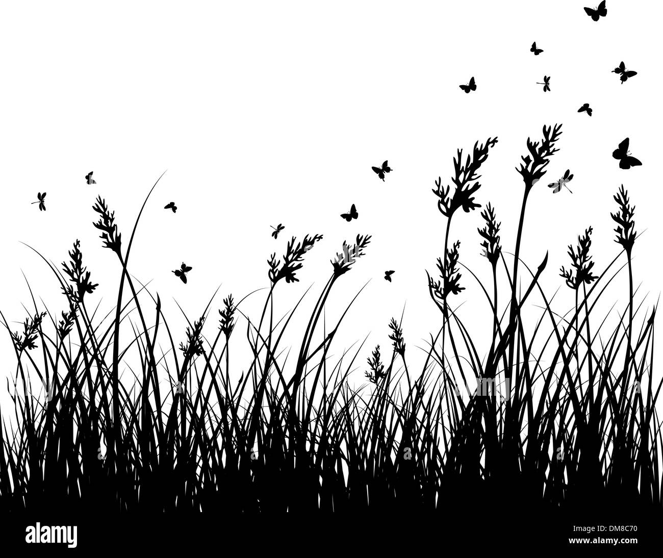 Flower meadow and insects Black and White Stock Photos & Images - Alamy
