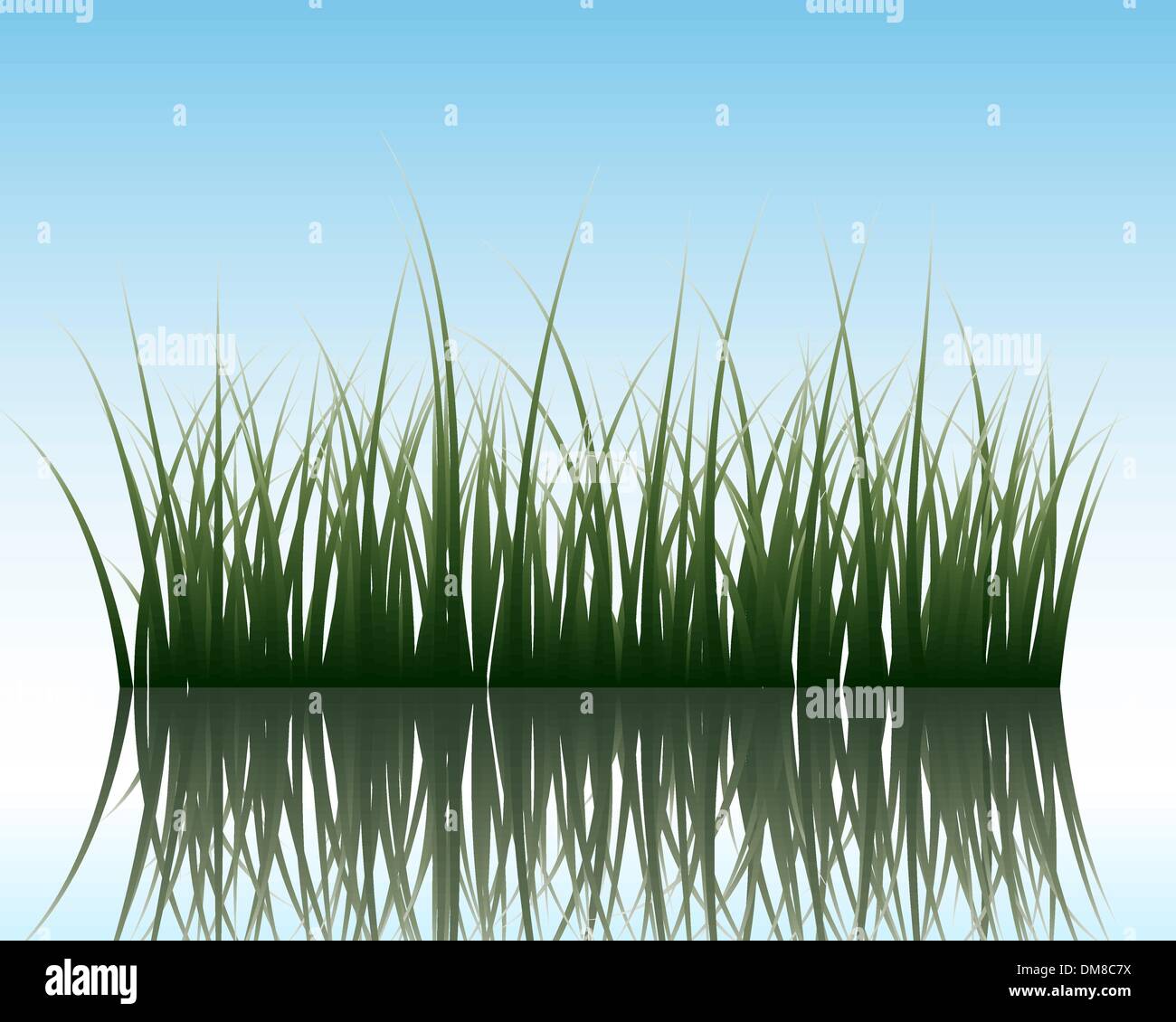 grass on water Stock Vector Image & Art - Alamy