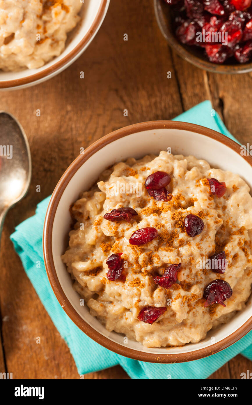 Homemade Healthy Rice Pudding with Brown Cinnamon Stock Photo - Alamy