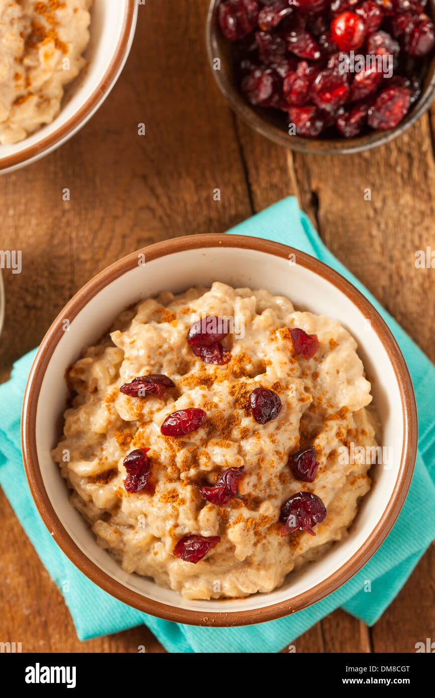 Homemade Healthy Rice Pudding with Brown Cinnamon Stock Photo - Alamy