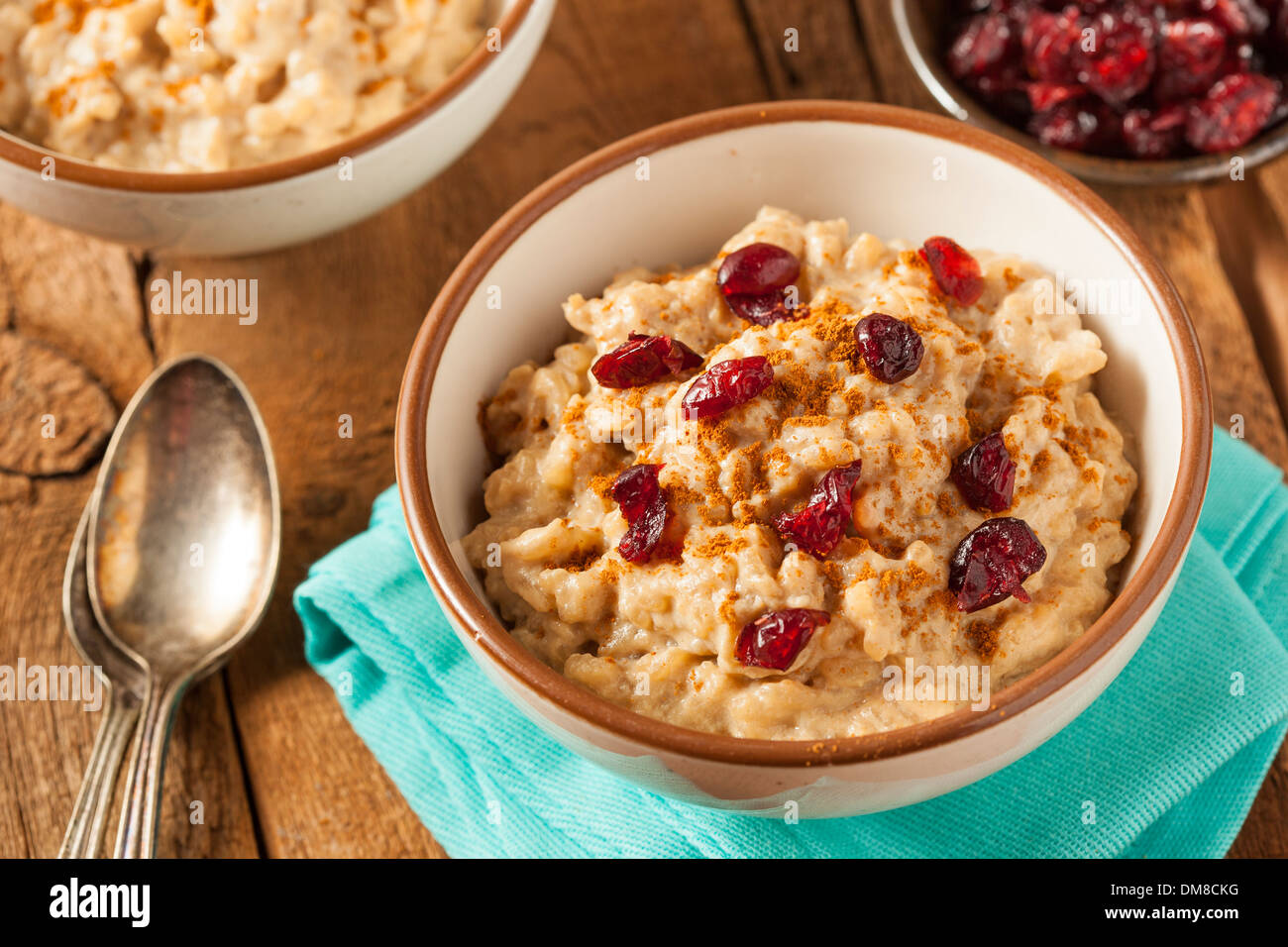 Homemade Healthy Rice Pudding with Brown Cinnamon Stock Photo - Alamy