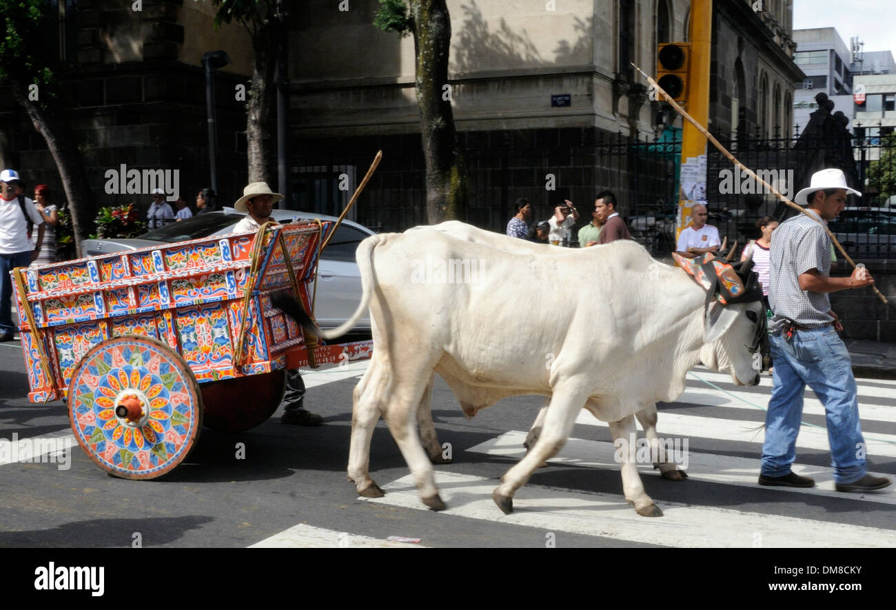 Traditional Costa Rican decorated ox carts, carretas, parade down ...
