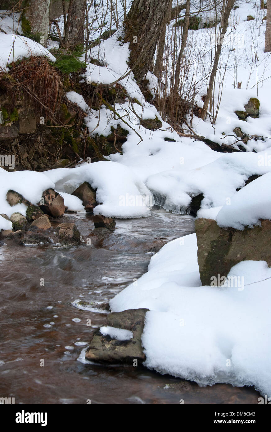 Shallow stream with snow covering the walls on a cold winter day Stock ...