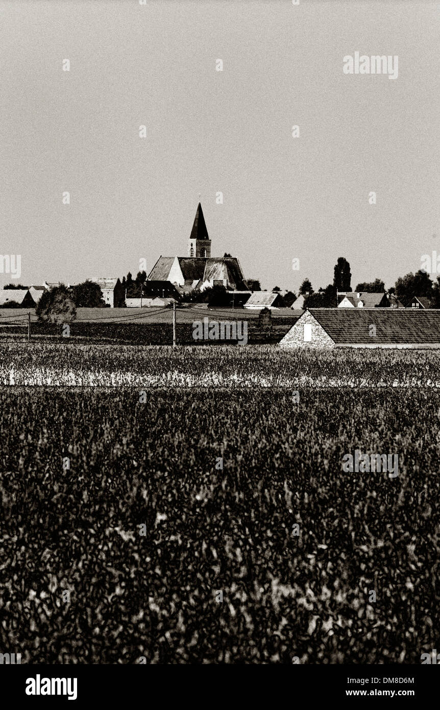 First World War fields of Passendale near Ypres in Belgium Stock Photo ...