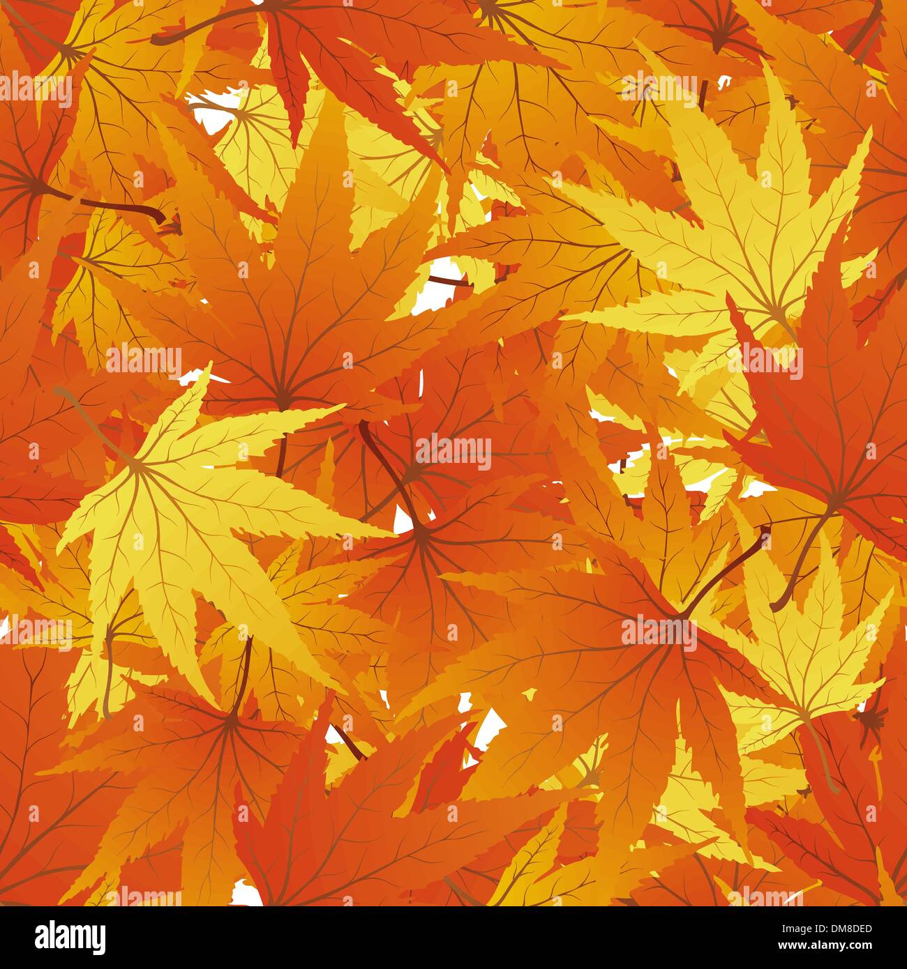 Foliage maple Stock Vector Images - Alamy