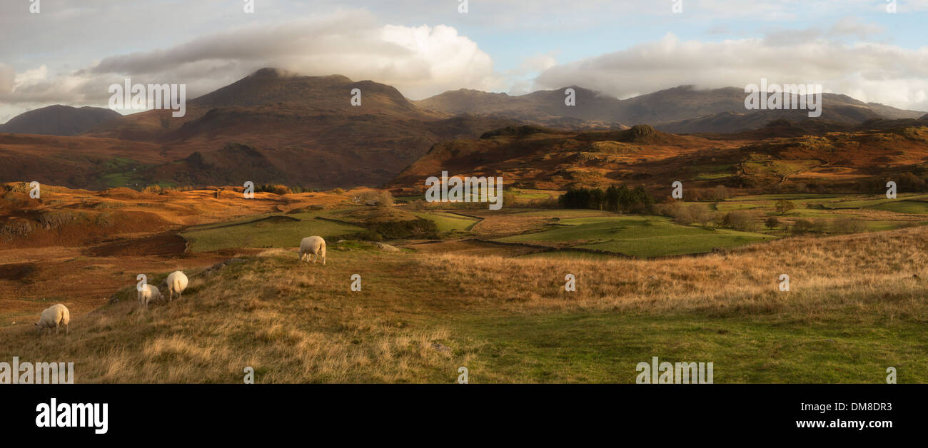 Birker fell hi-res stock photography and images - Alamy