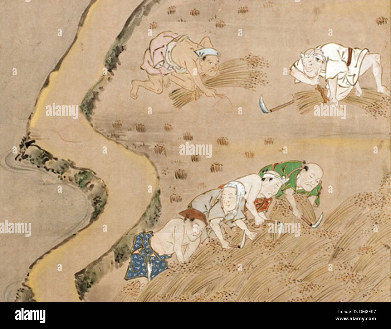 Rice farming process hi-res stock photography and images - Alamy