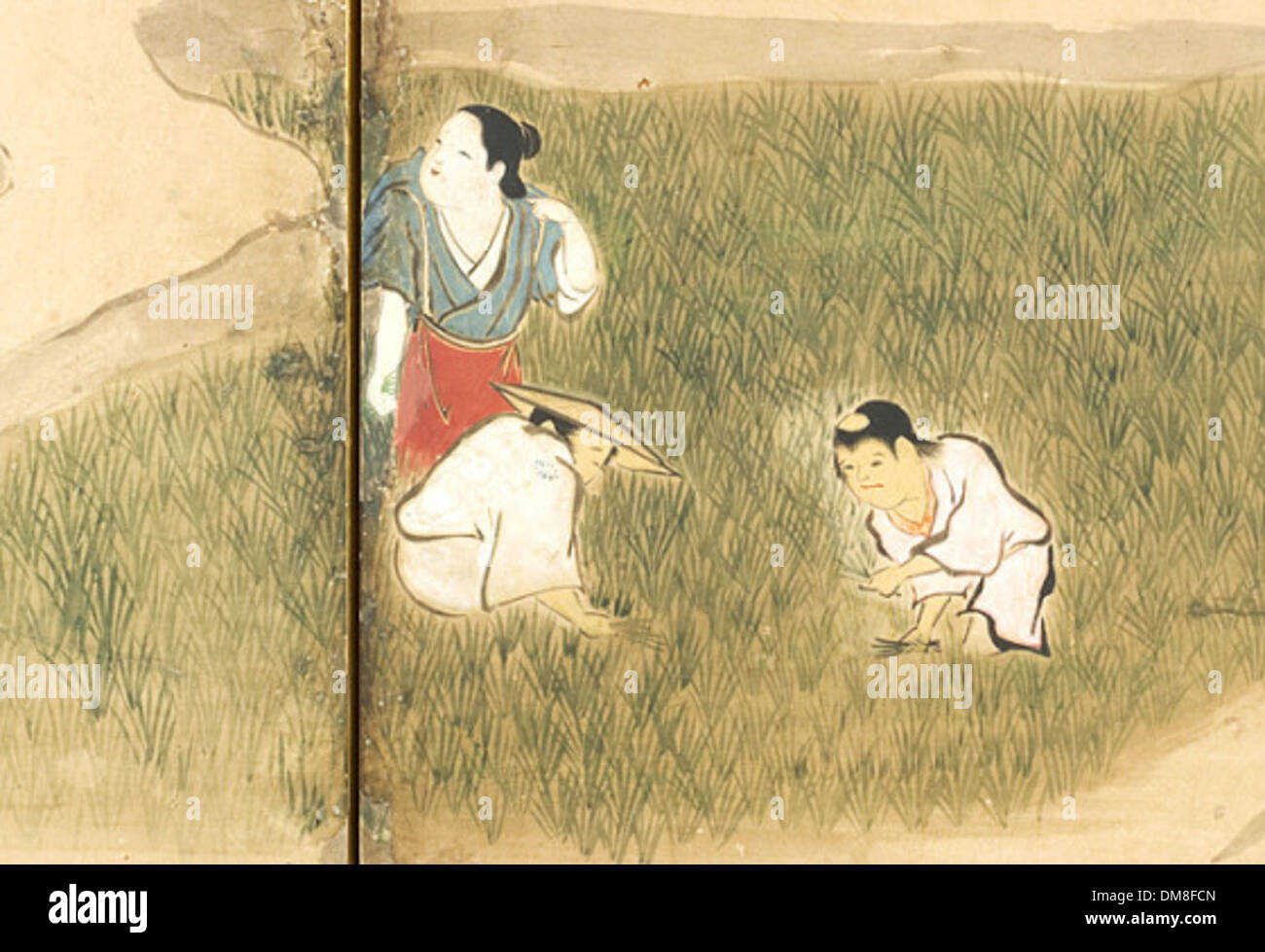 Rice farming process hi-res stock photography and images - Alamy