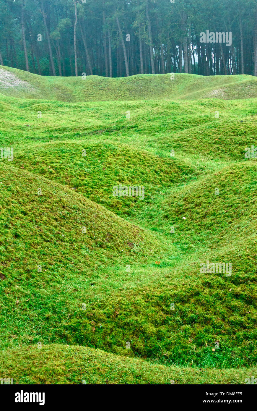 Vimy Ridge outline of old trenches Stock Photo - Alamy