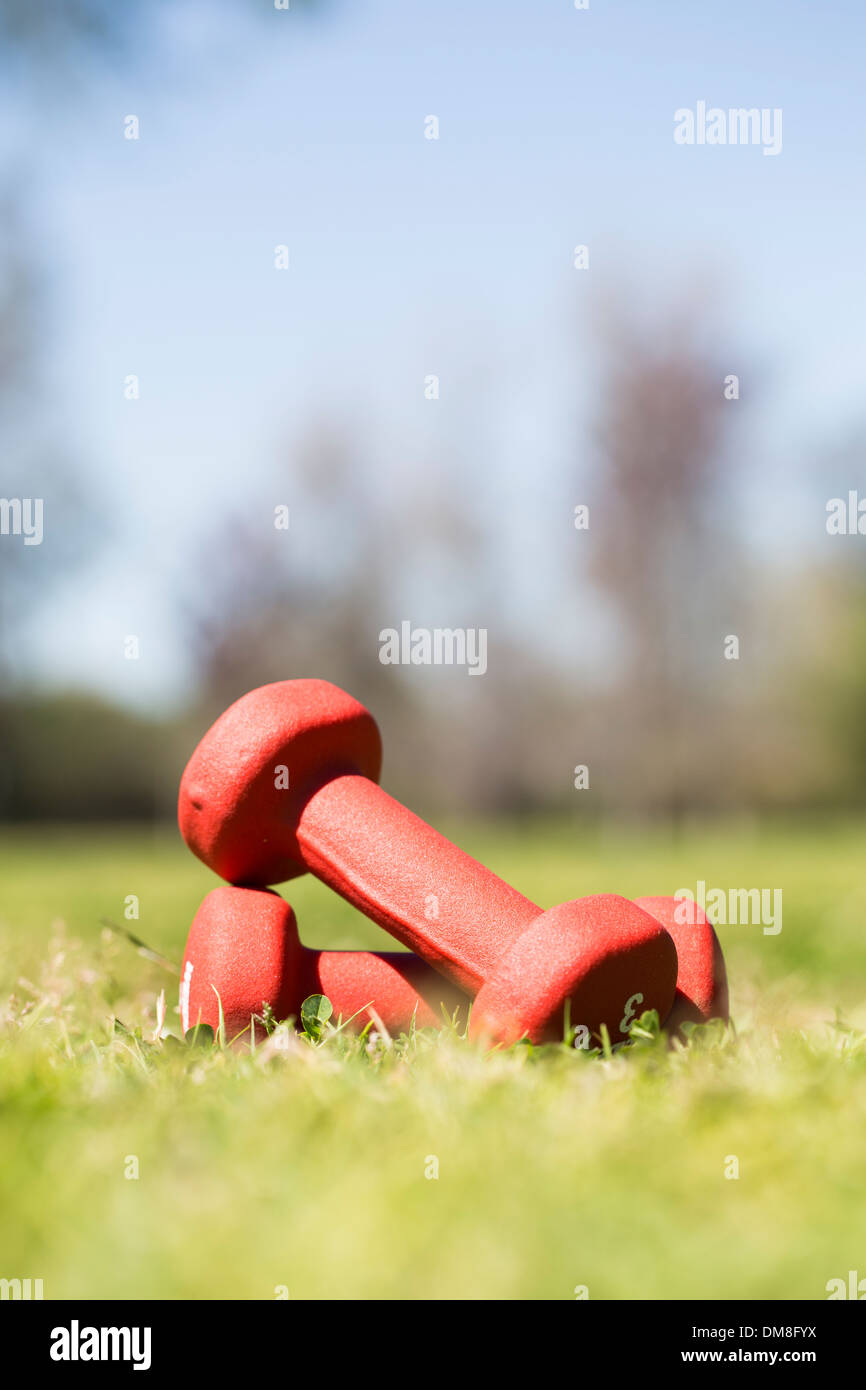 Pair of red hand weights Stock Photo - Alamy