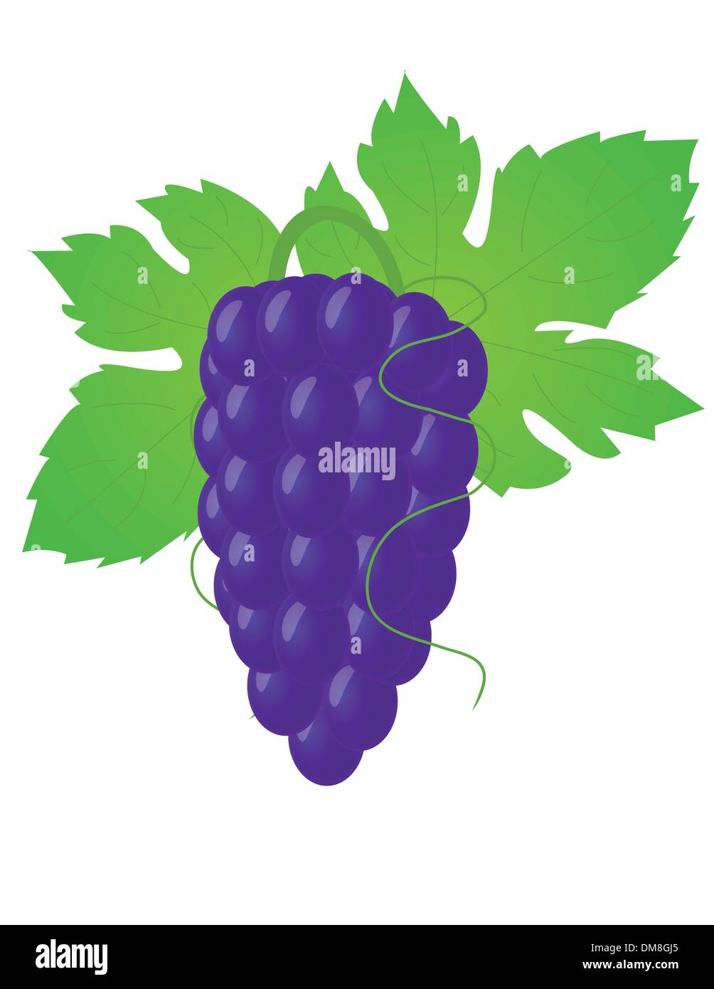 Big autumn tree on Stock Vector Images - Alamy