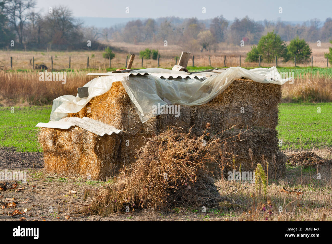 rural landscape with hay bales covered from rain Stock Photo - Alamy