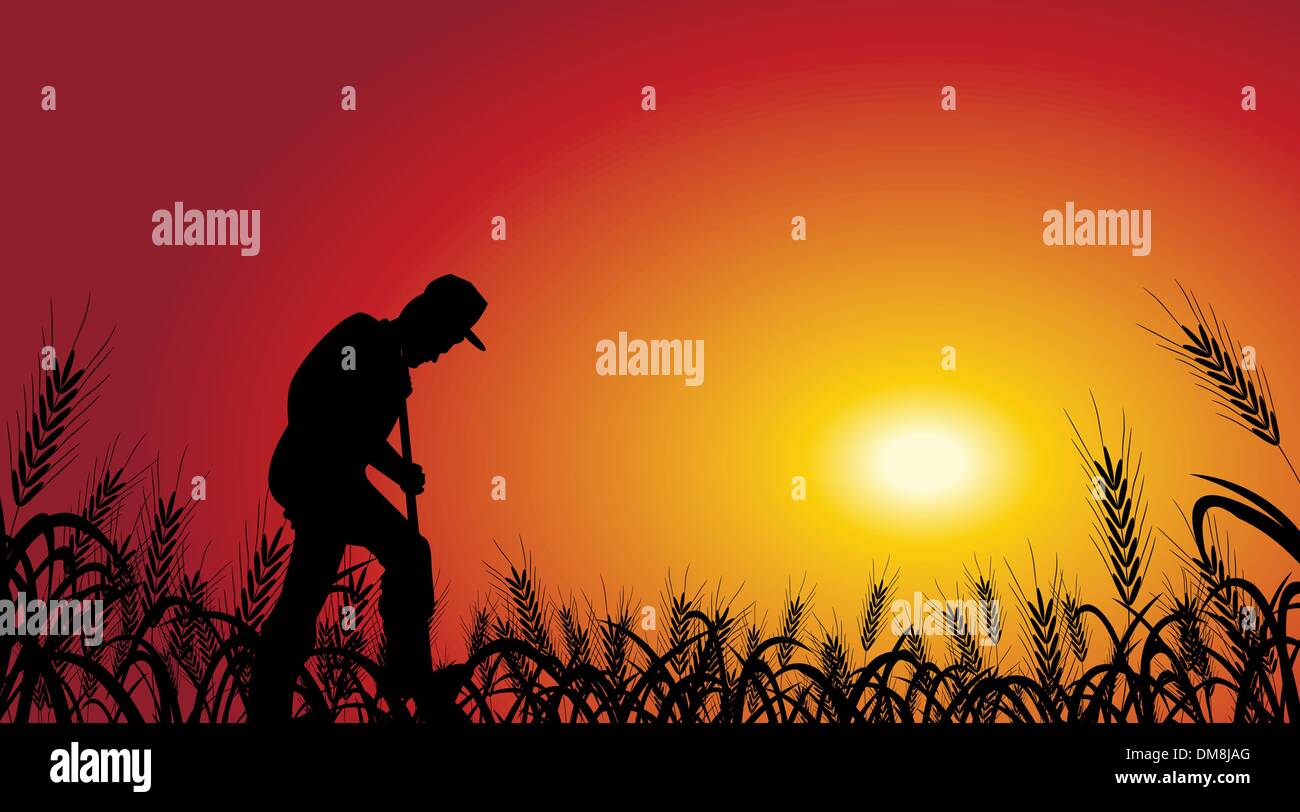 Working in a field Stock Vector Images - Alamy
