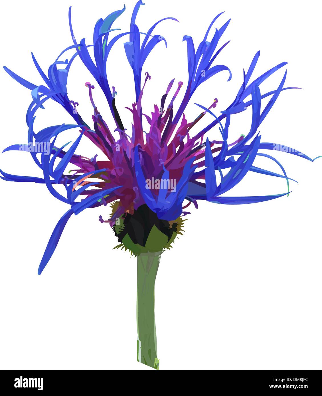 Single stem wild flower Stock Vector Images - Alamy