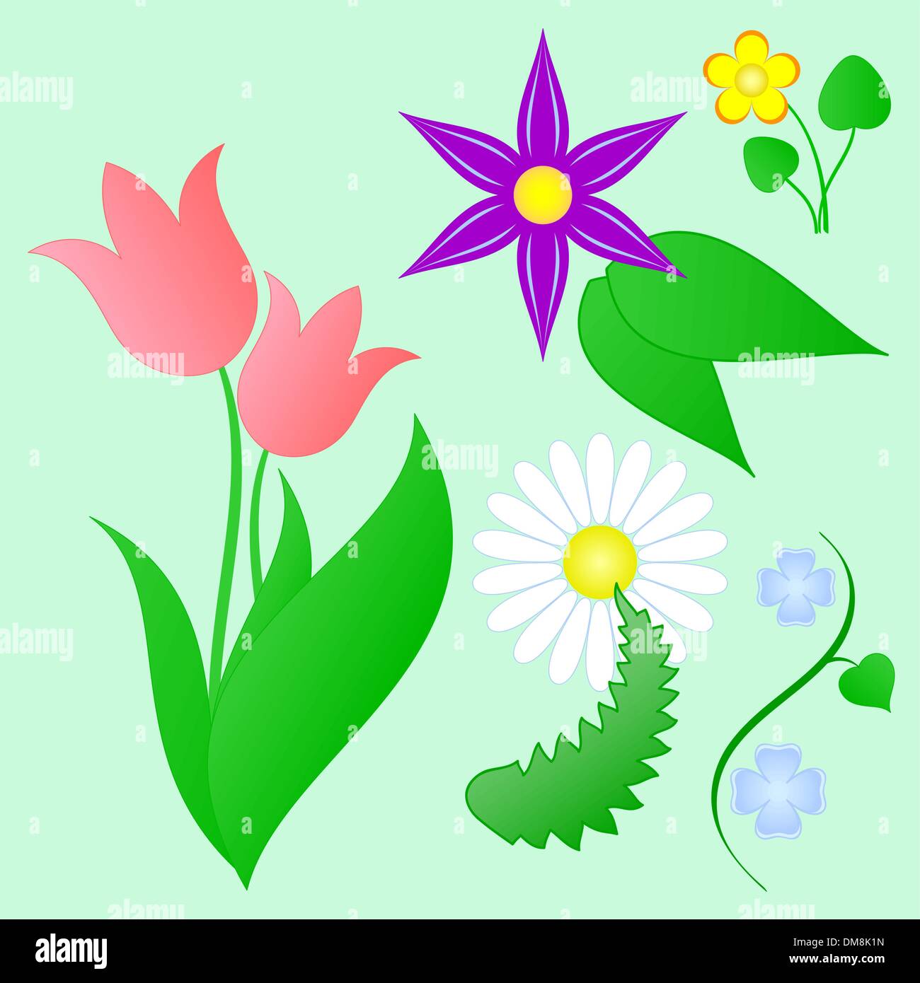 Beautiful bright tulip flowers Stock Vector Images - Alamy