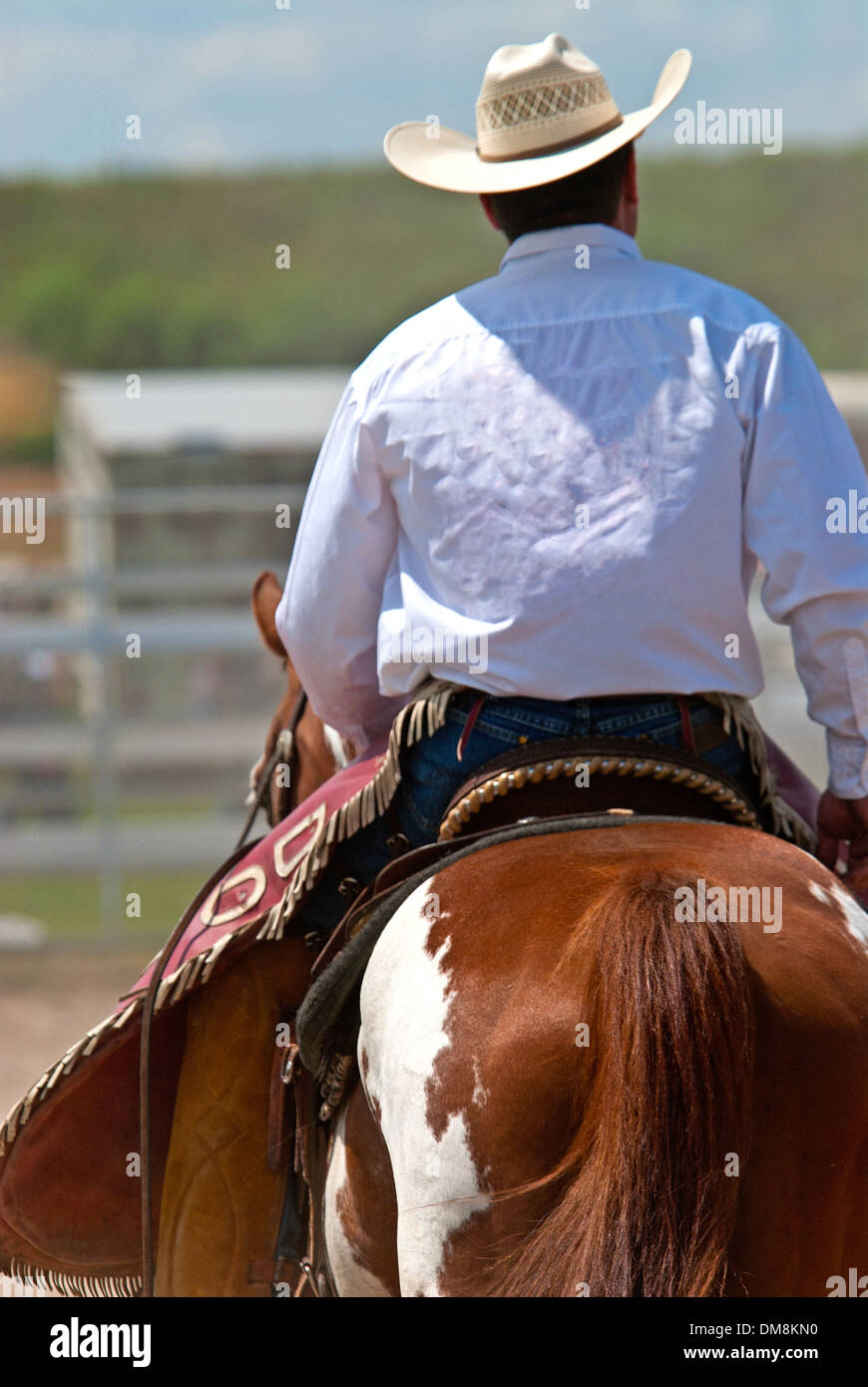Cowboy on his horse Stock Photo - Alamy