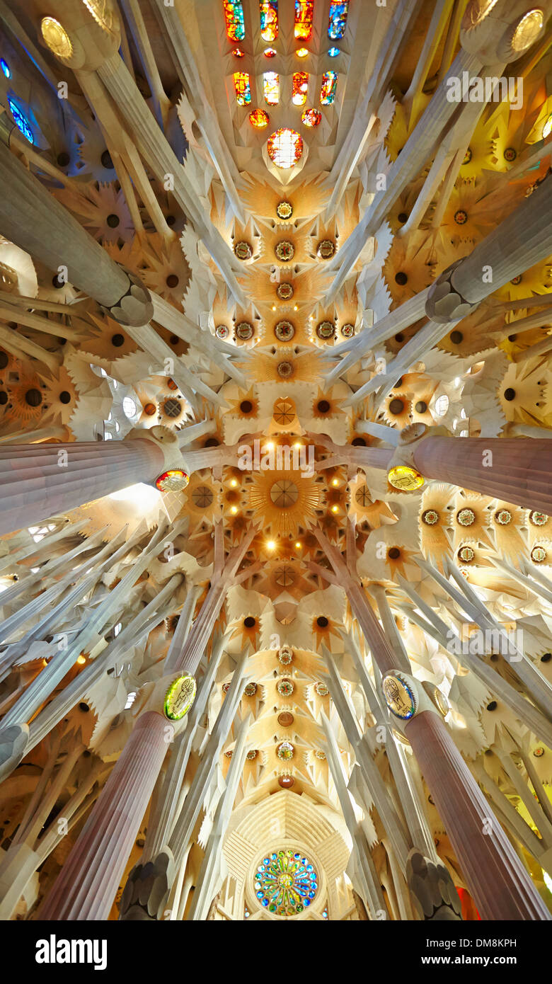 Ceiling of the Sagrada Familia Temple by Antoni Gaudi. Barcelona, Spain ...