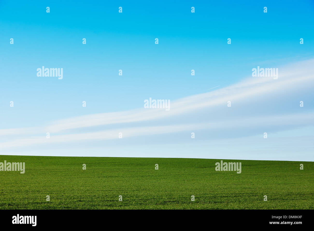 Air spring hi-res stock photography and images - Alamy
