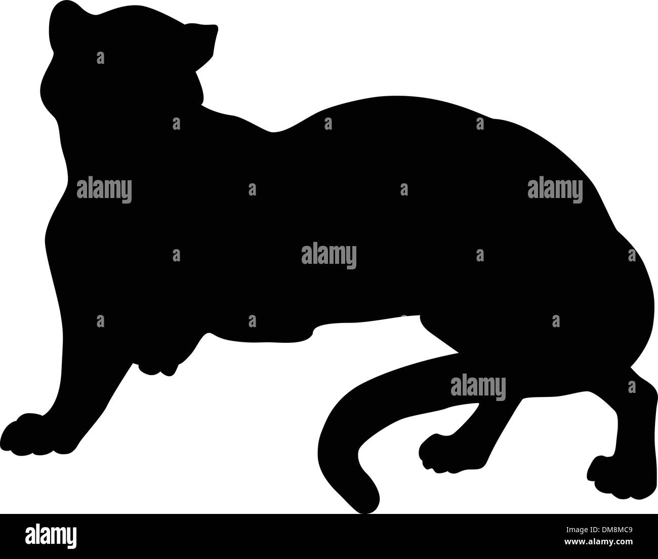 Black panther Cut Out Stock Images & Pictures - Alamy