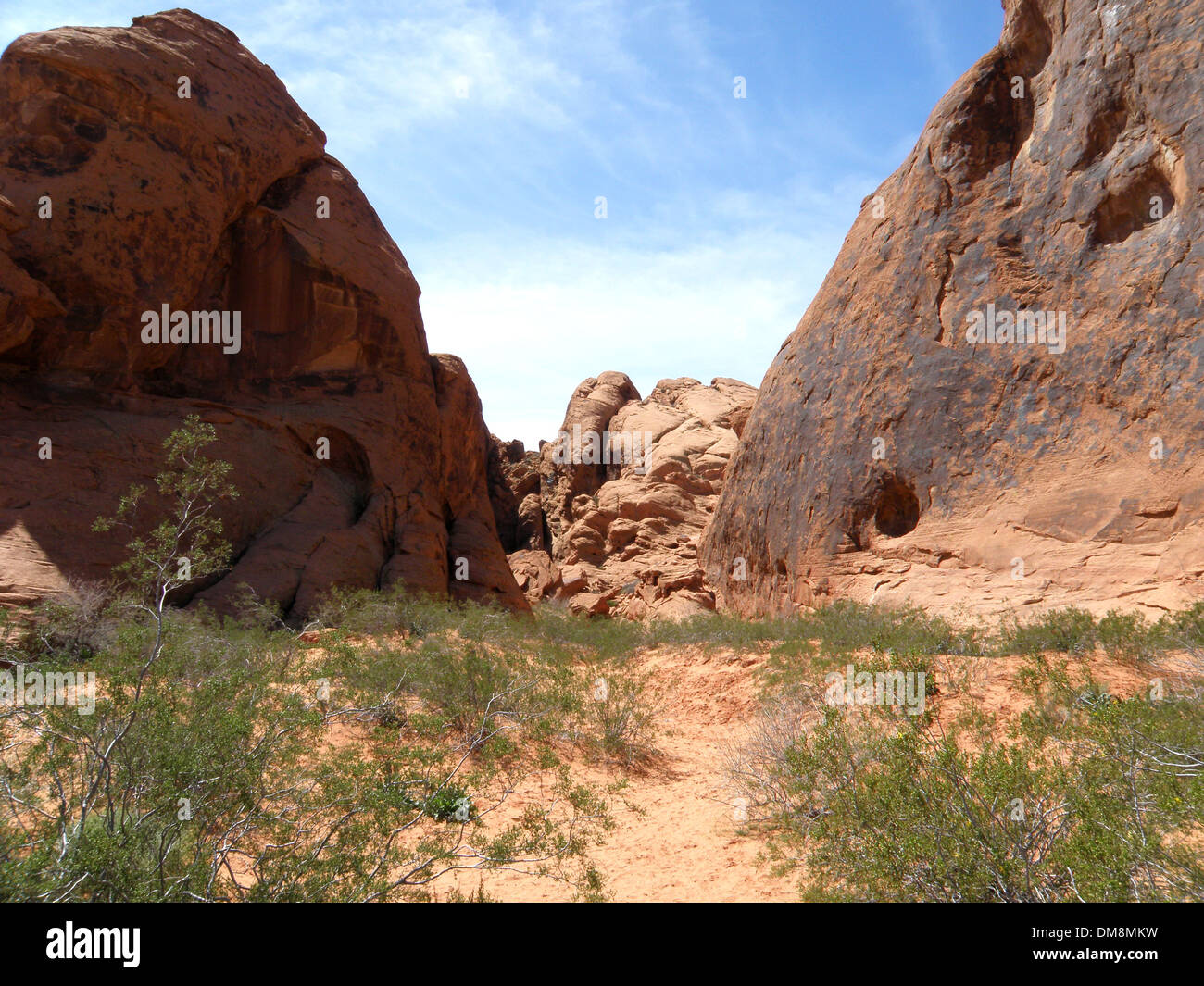 Red Rocks in Red Rock Canyon outside Las Vegas Nevada Stock Photo - Alamy