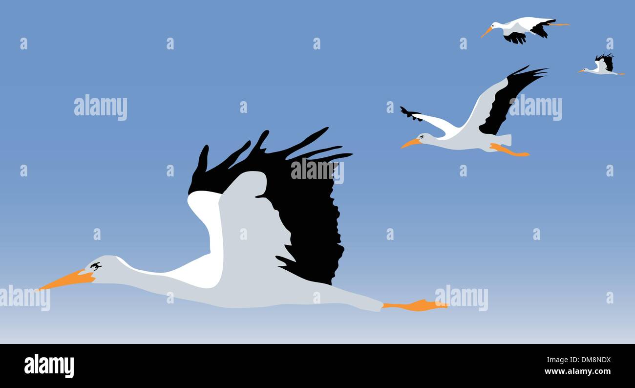 Storks flying silhouette Stock Vector Images - Alamy