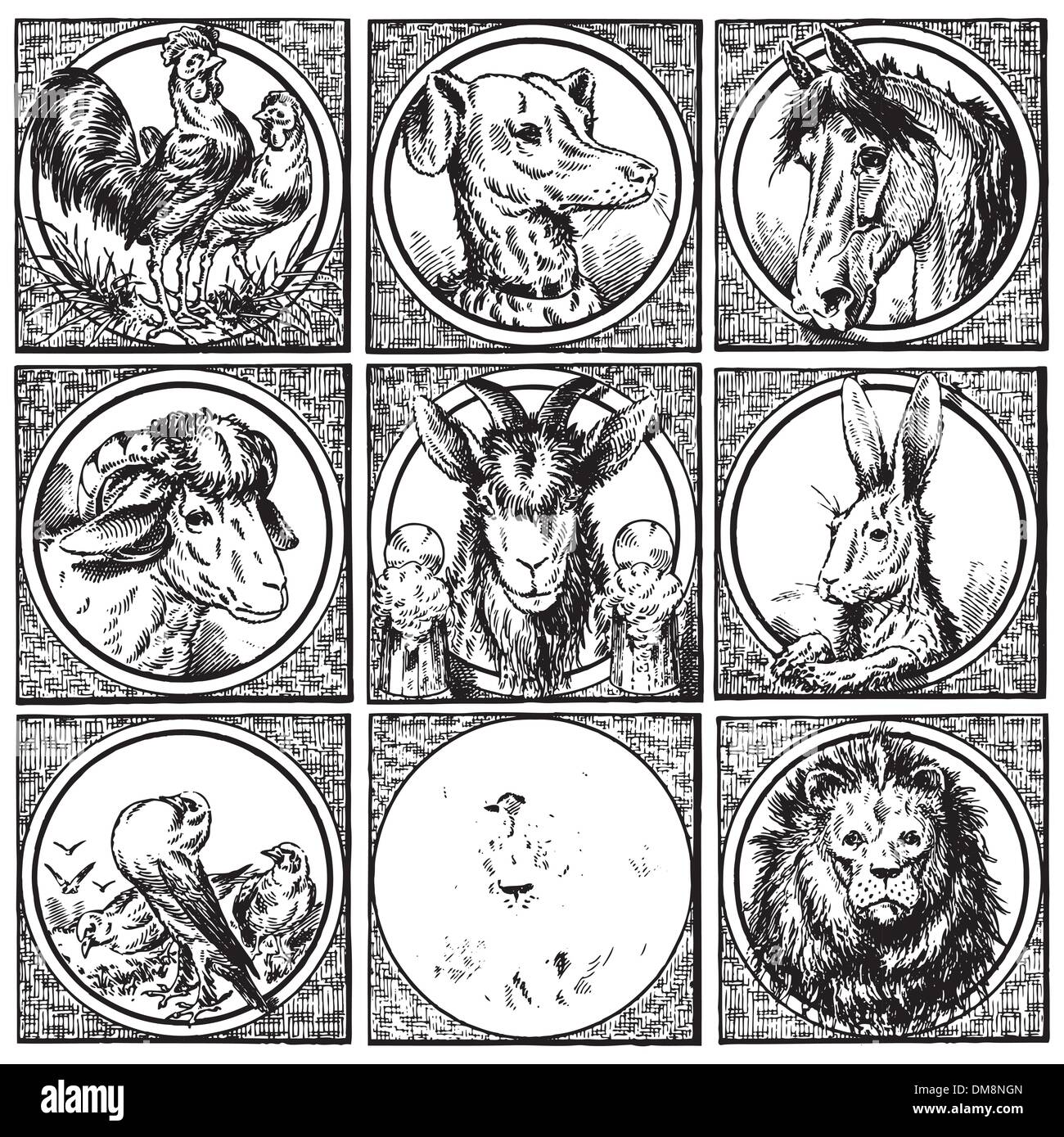 antique animals engravings set (vector Stock Vector Image & Art - Alamy