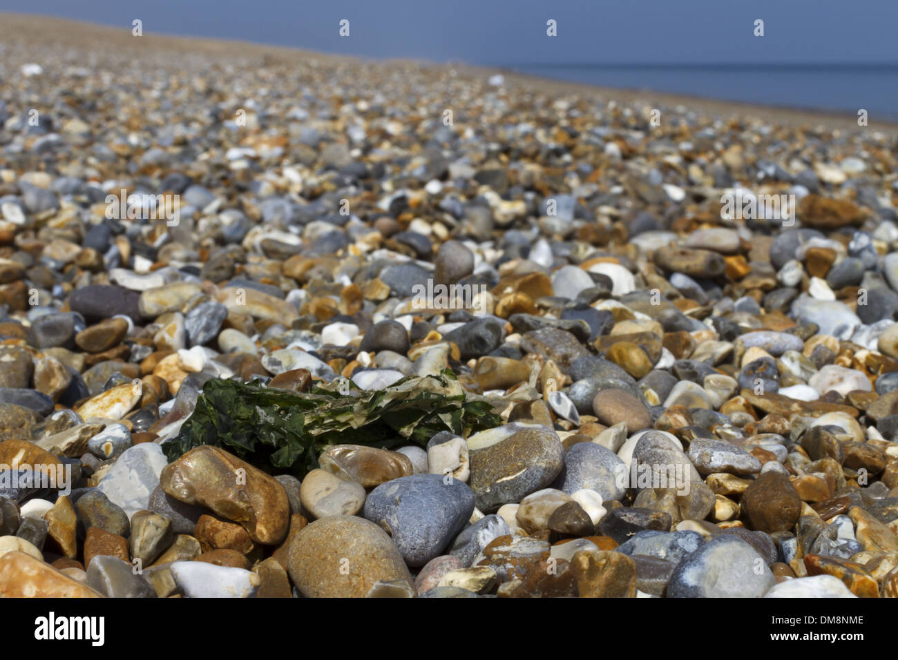 Beach low level hi-res stock photography and images - Alamy