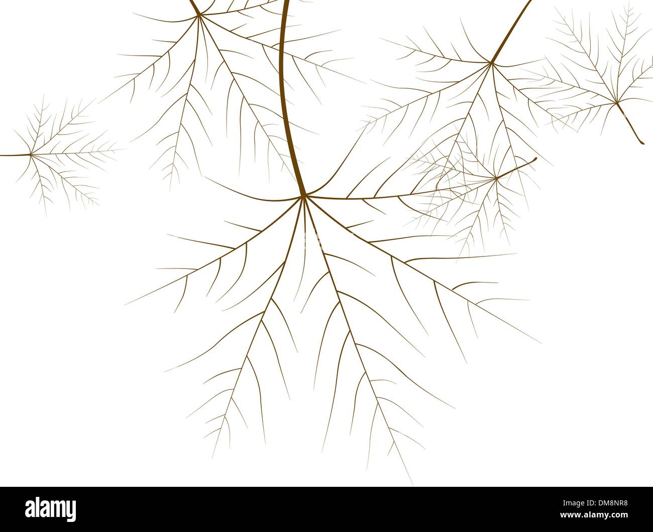 Autumn leaves background collection Stock Vector Images - Alamy