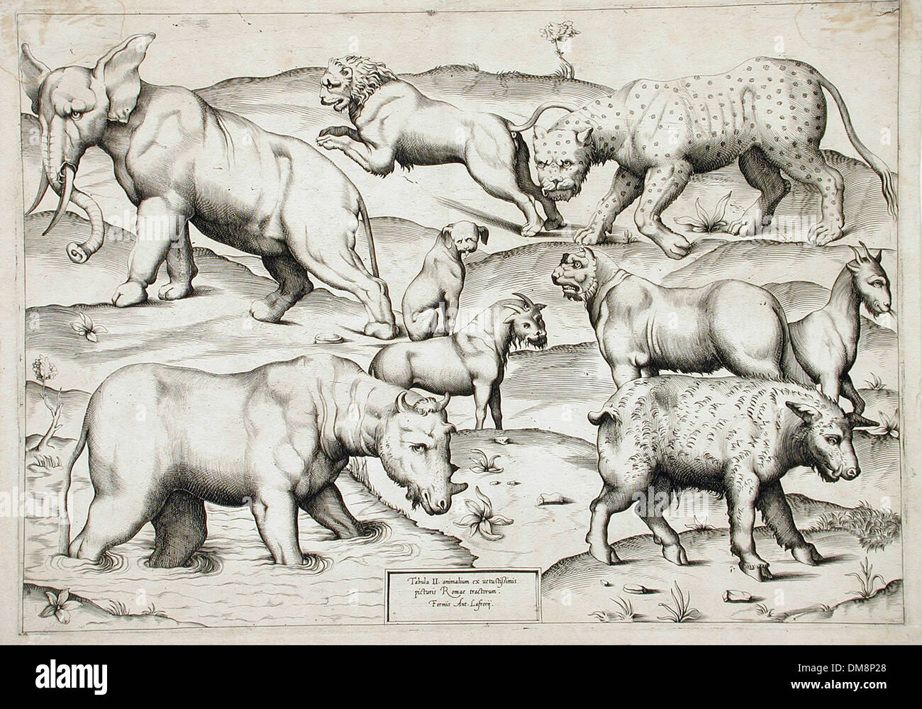 Ancient greek roman animals hi-res stock photography and images - Alamy