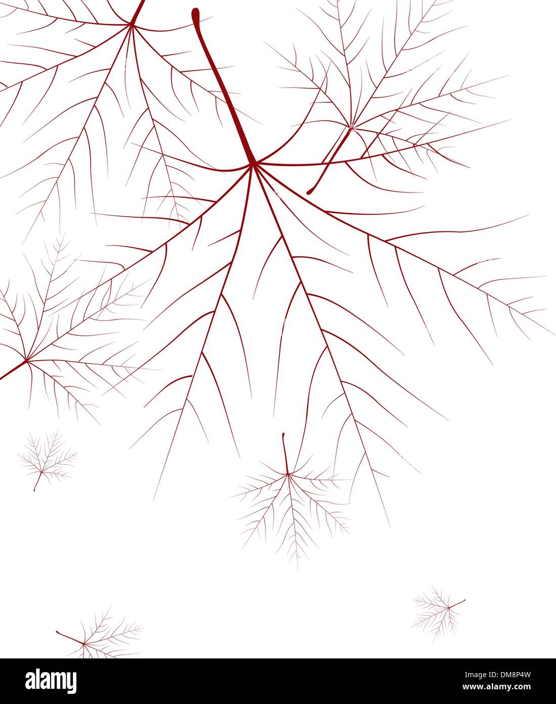 Branch yellow leaves red Stock Vector Images - Alamy